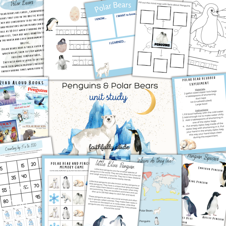 Bible Creation Story Lesson and Activities for Kids - Faithfully Abide ...