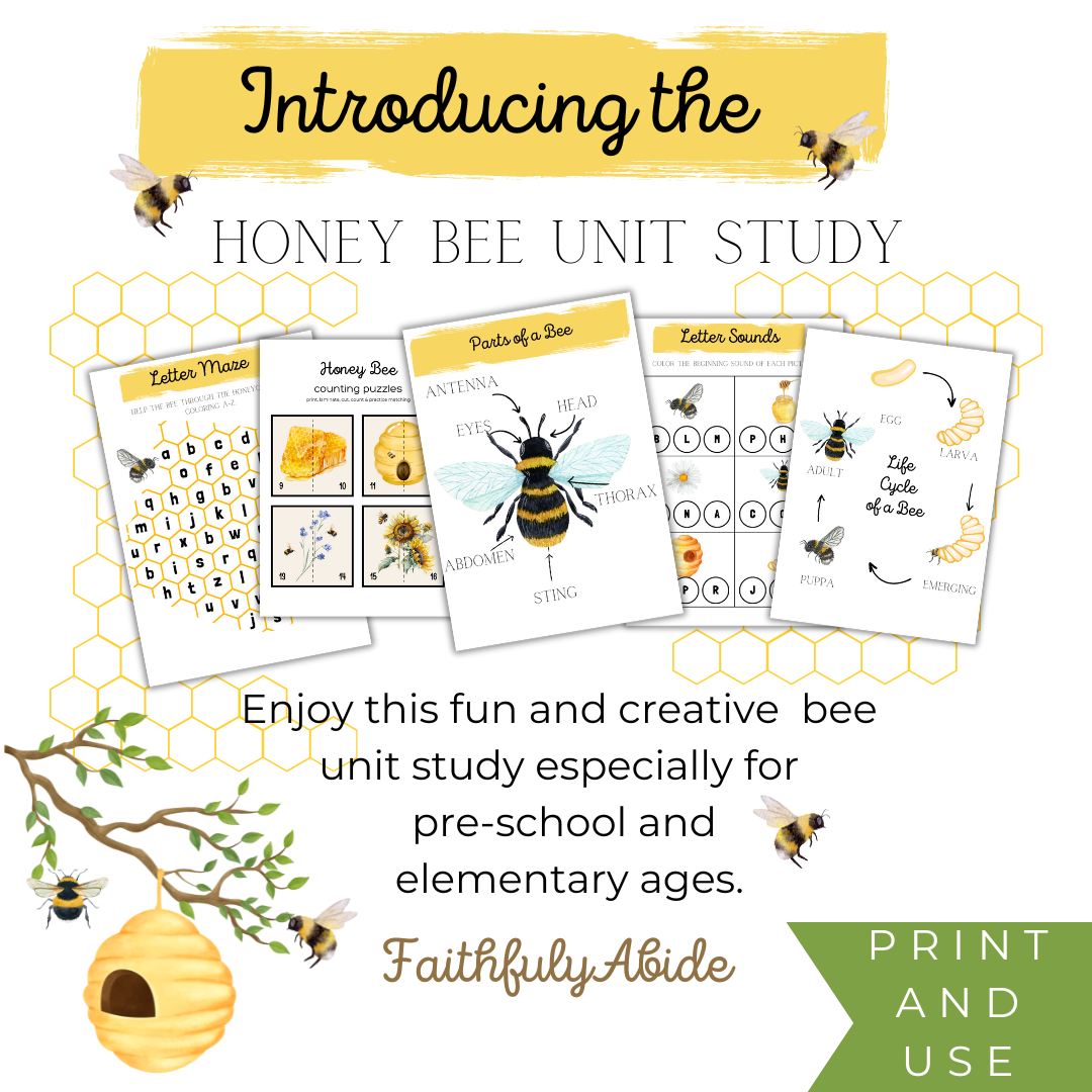 Printable Honey Bee Worksheets and Activities for Kids - Faithfully ...