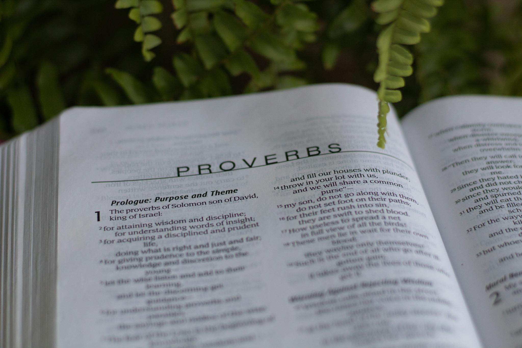 30 Bible Verses for Sharing - Encouraging Scriptures - Faithfully Abide Homeschool